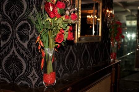 Angels Lap Dancing ️