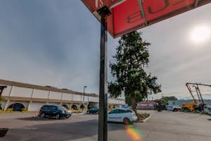 ️ Red Light District Seattle - the best selection 【2023】