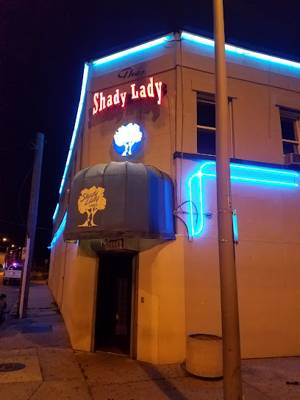 The Shady Lady ️